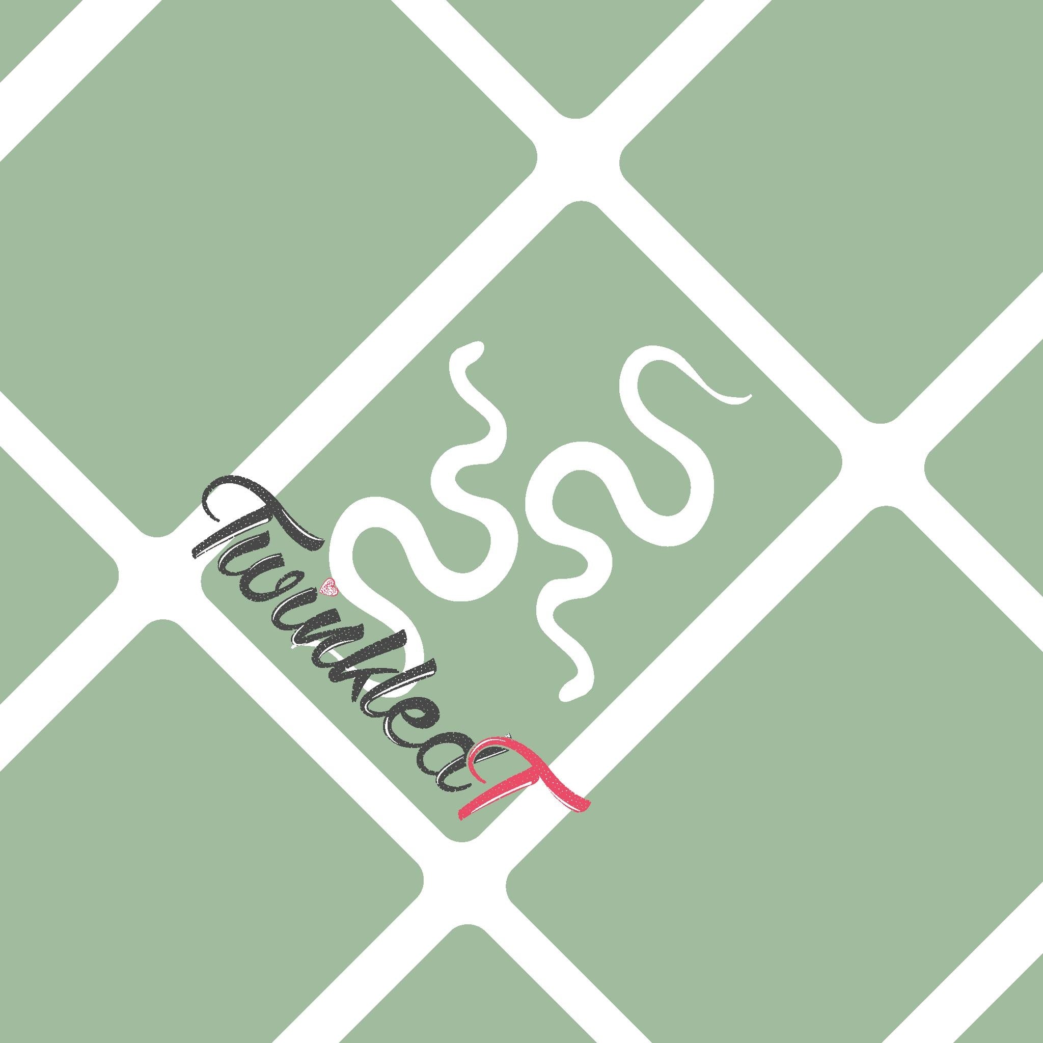 Snake Vinyls – Twinkled T